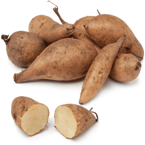 GingaMax - North American Herb & Spice