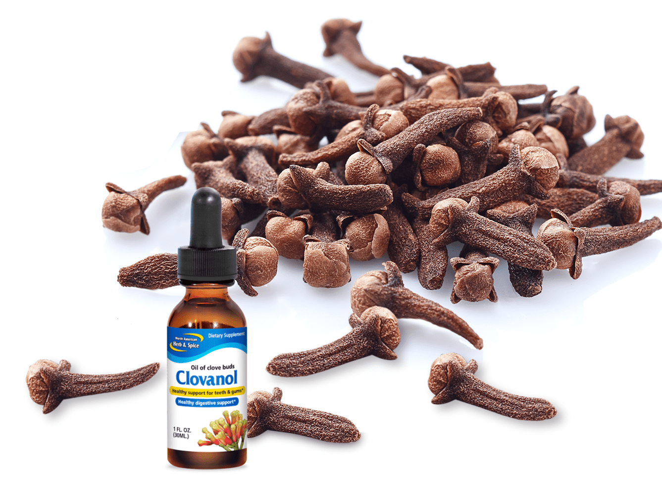 Clove - North American Herb & Spice