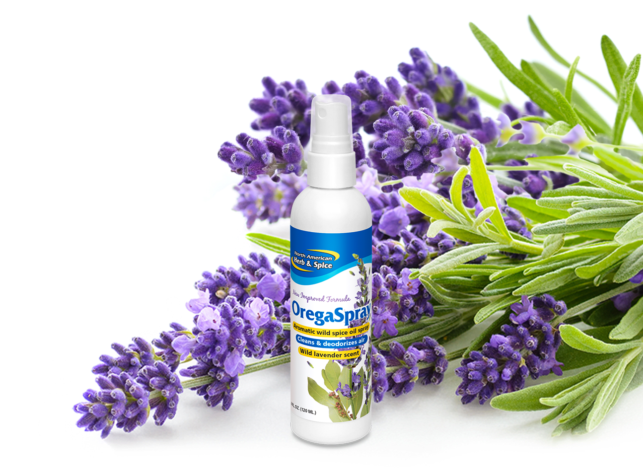 Lavender - North American Herb & Spice